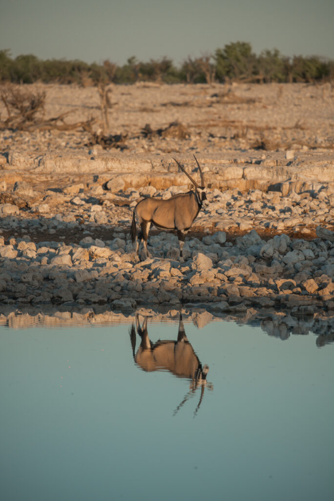 Namibia Nomads